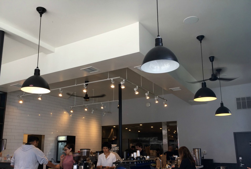 Jane on Larkin - Aswildchild par Camille Lessieux